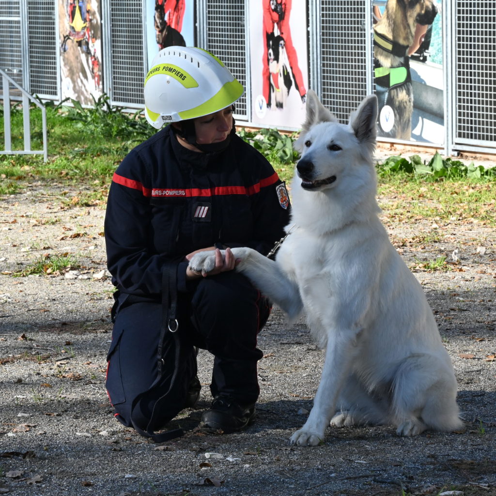 Le chien « sapeur-pompier » - Valabre